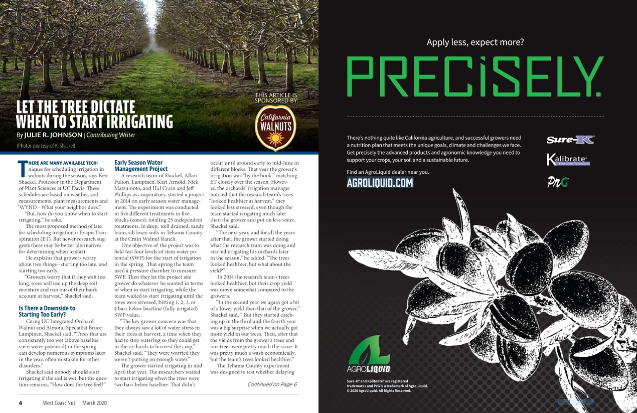 JCS Marketing West Coast Nut Magazine Layout Design
